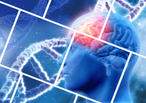 Supra Brain - Improve Brain and Neuro Functions